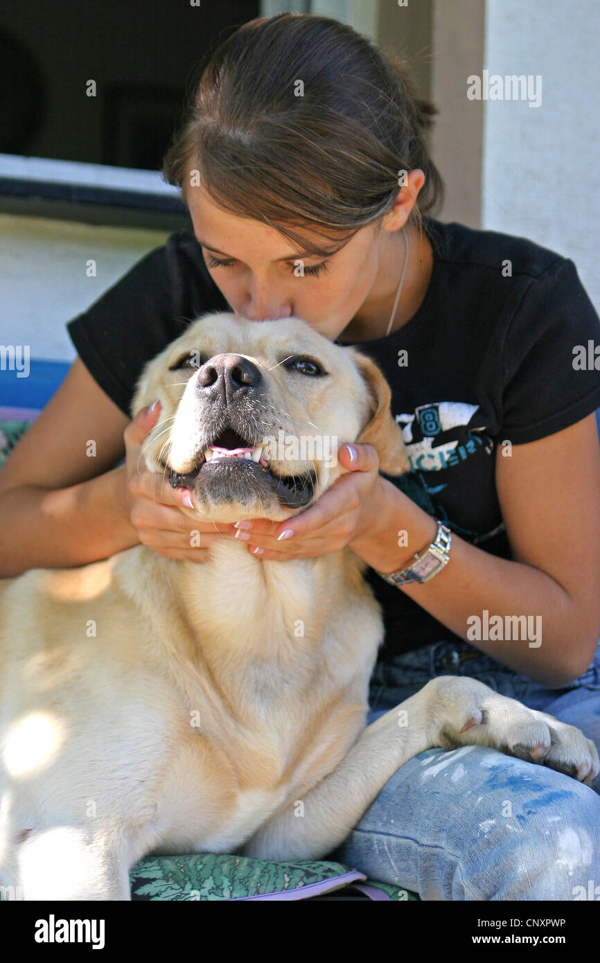 Labrador Retriever (Canis lupus f. familiaris), girl kissing head of a ...