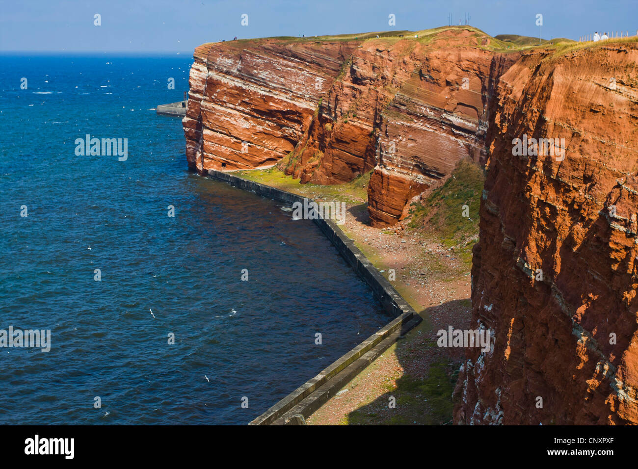 the red rock of the steep coast, Germany, Schleswig-Holstein ...