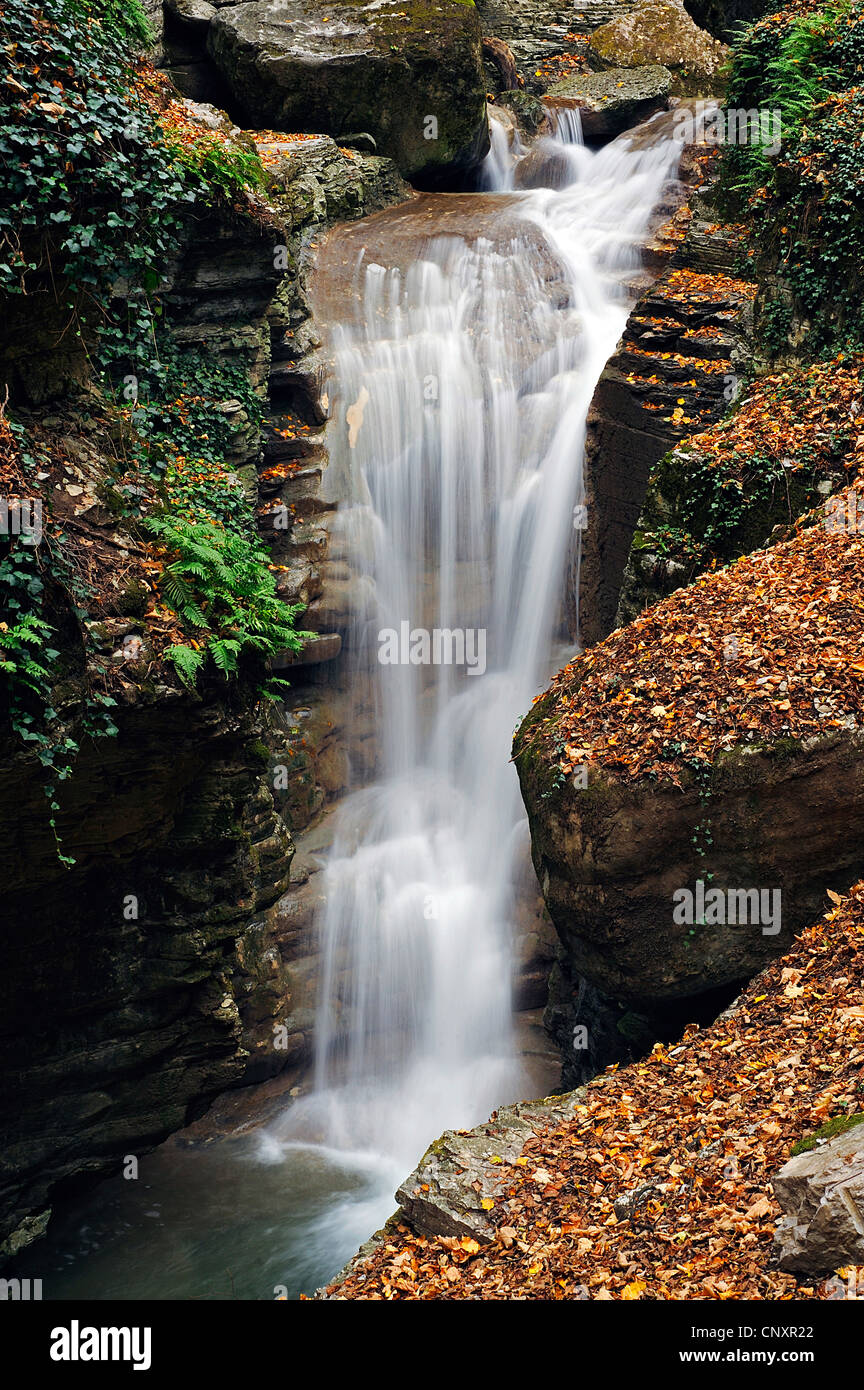 Furon hi-res stock photography and images - Alamy