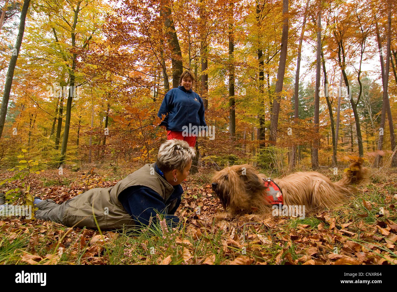 Rescue Dog Finding Person High Resolution Stock Photography and Images ...