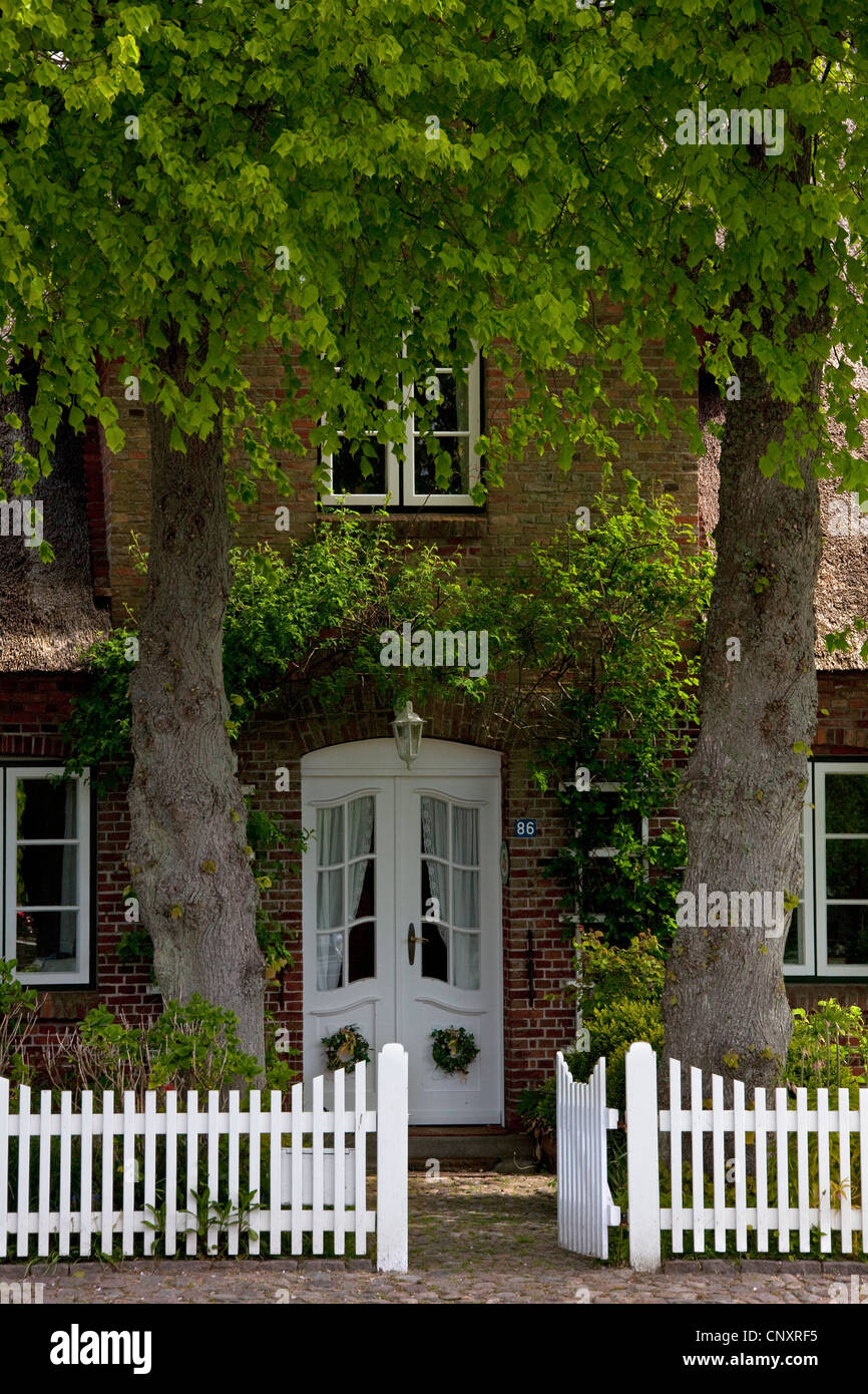 Traditional Frisian thatched house in Oldsum on the Island of Föhr ...