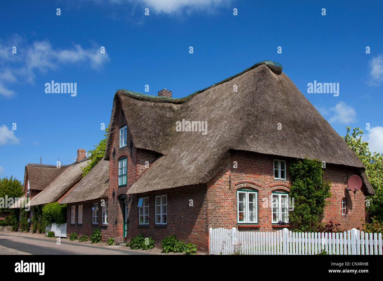 Traditional Frisian thatched house at Süderende on the Island of Föhr ...