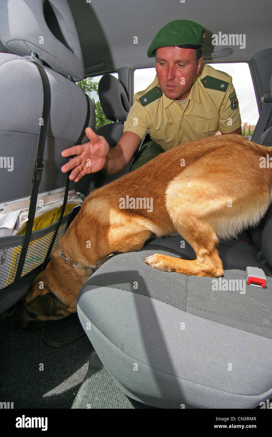 Officer searching car with dog hi-res stock photography and images - Alamy
