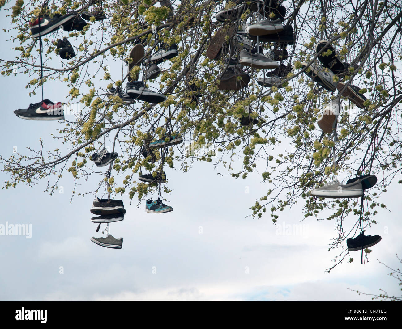 The tree of shoes Stock Photo - Alamy