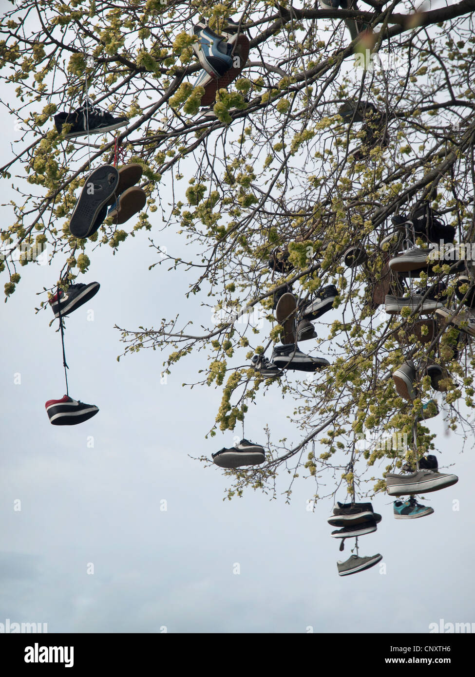 The tree of shoes Stock Photo - Alamy
