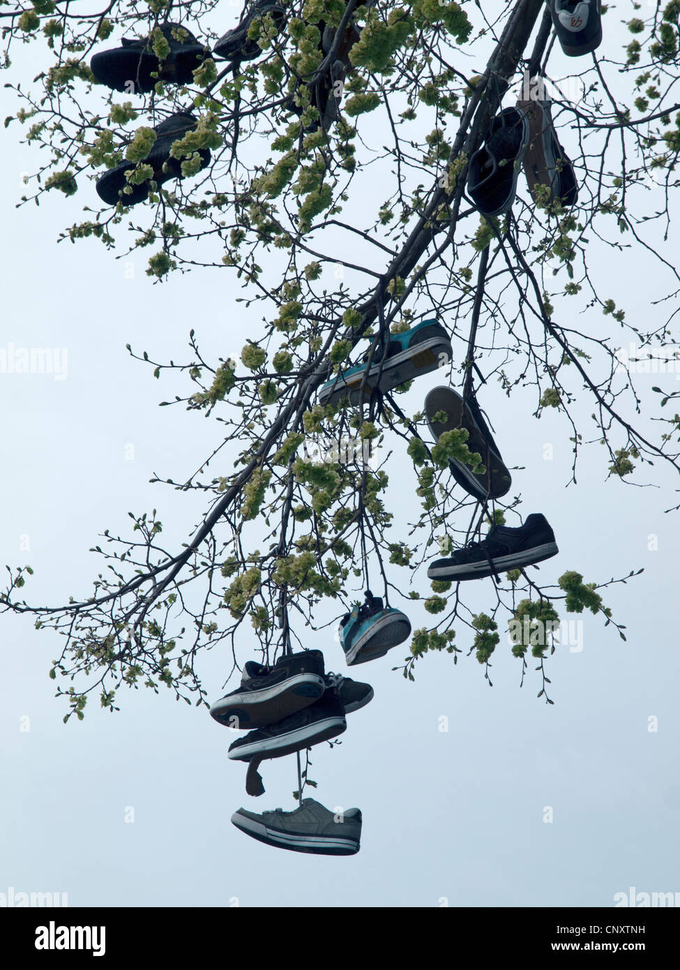 The tree of shoes Stock Photo - Alamy