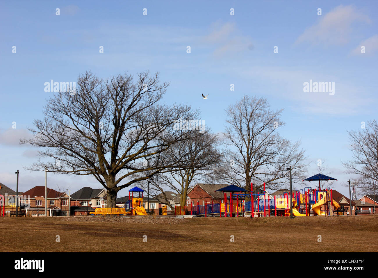 Colorful children playground with an old oak Stock Photo - Alamy
