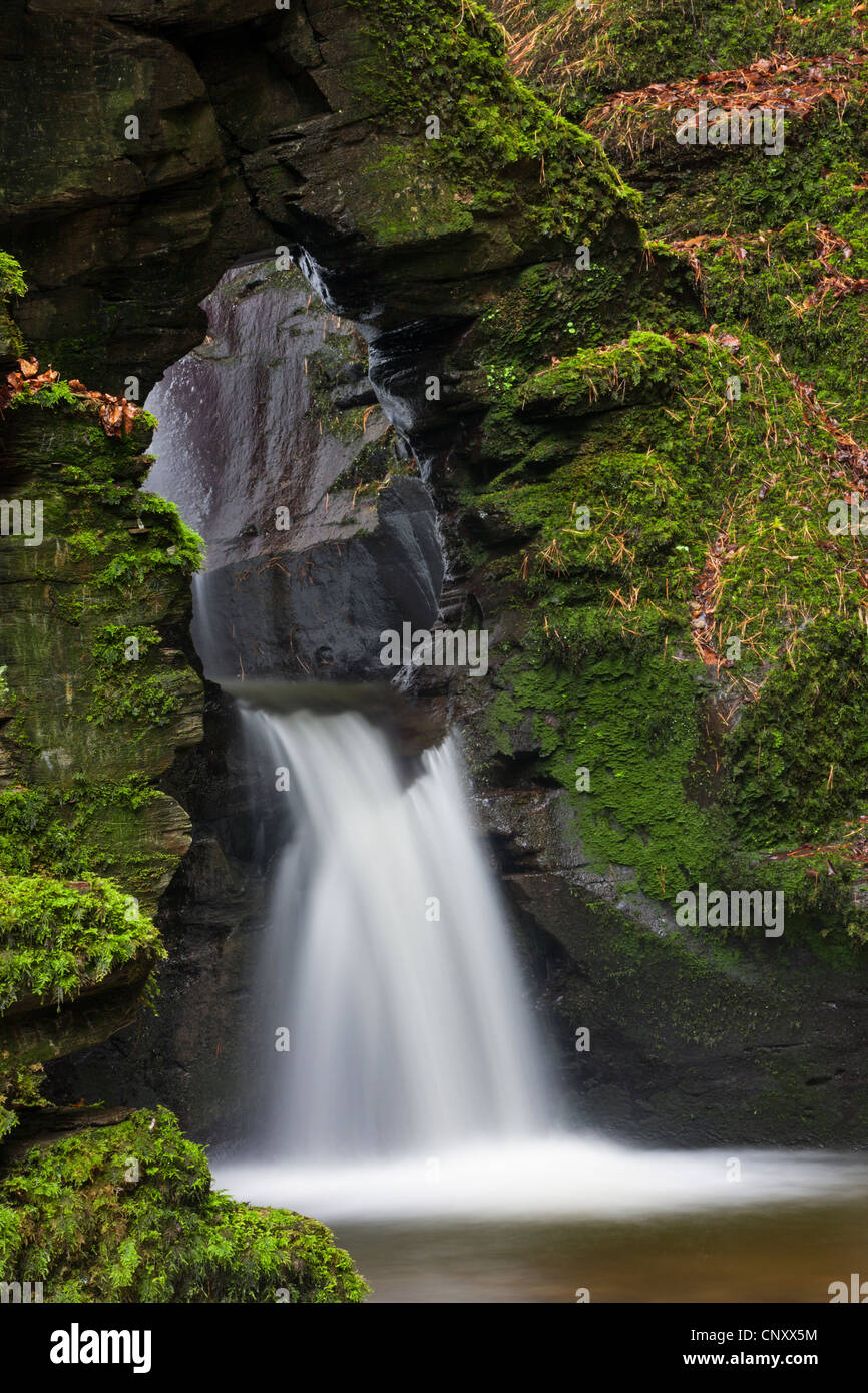 St Nectan's Kieve waterfall in St Nectans Glen, Tintagel, Cornwall ...