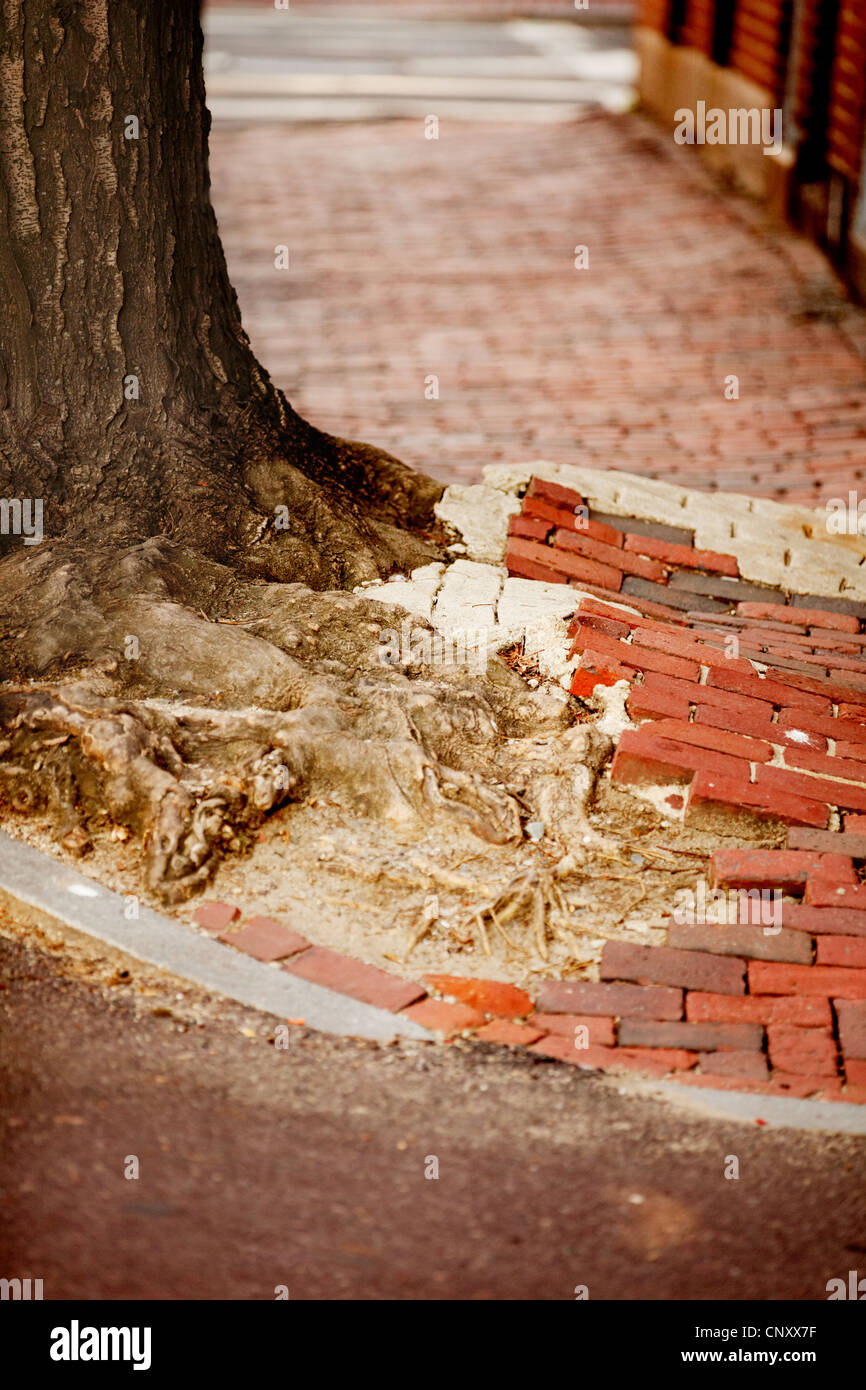 BOSTON MASSACHUSETTS MA CITY URBAN SCENE CITYSCAPES NEW ENGLAND STREET ...