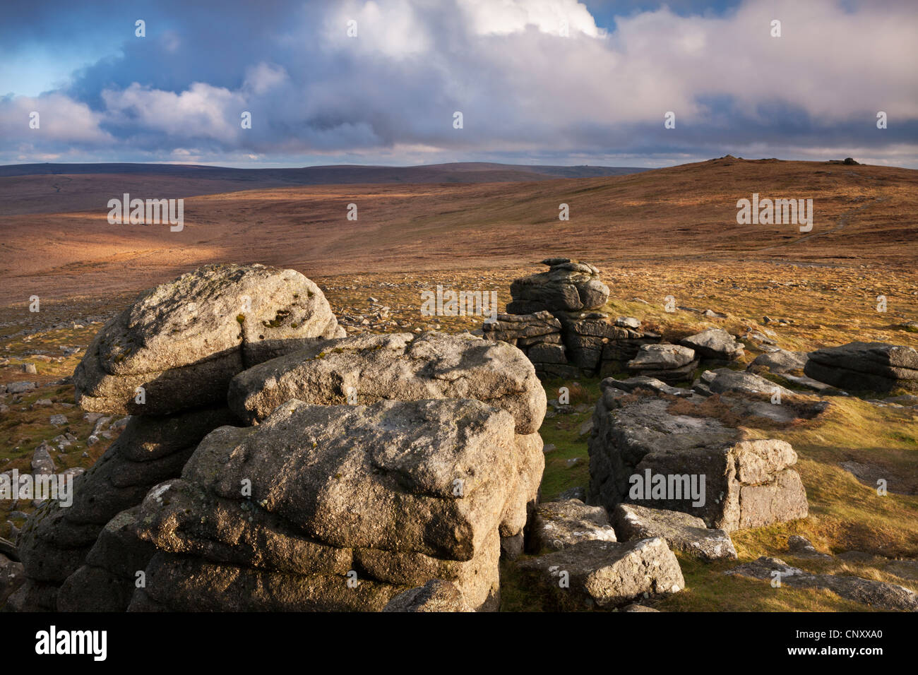 High Willhays, the highest summit in Southern Britain, viewed from Yes ...