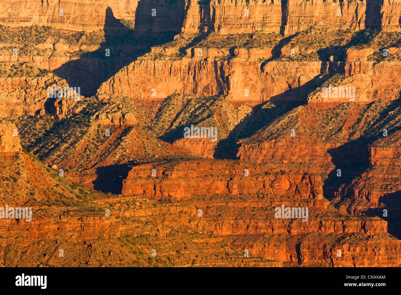 light and shadow at rock walls of Grand Canyon, USA, Arizona, Grand ...