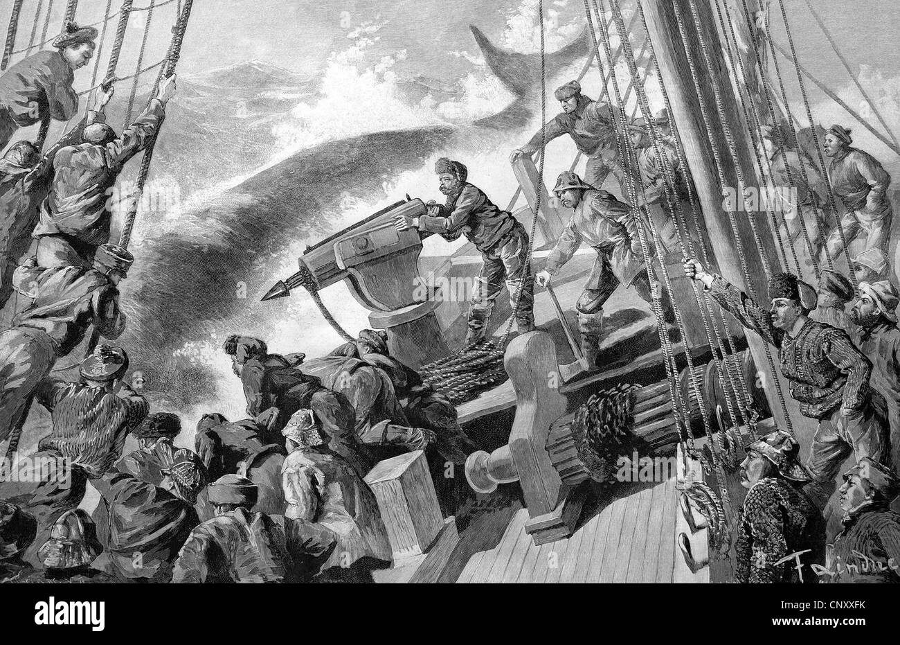 Whalers with a harpoon gun, historic wood engraving, about 1897 Stock ...