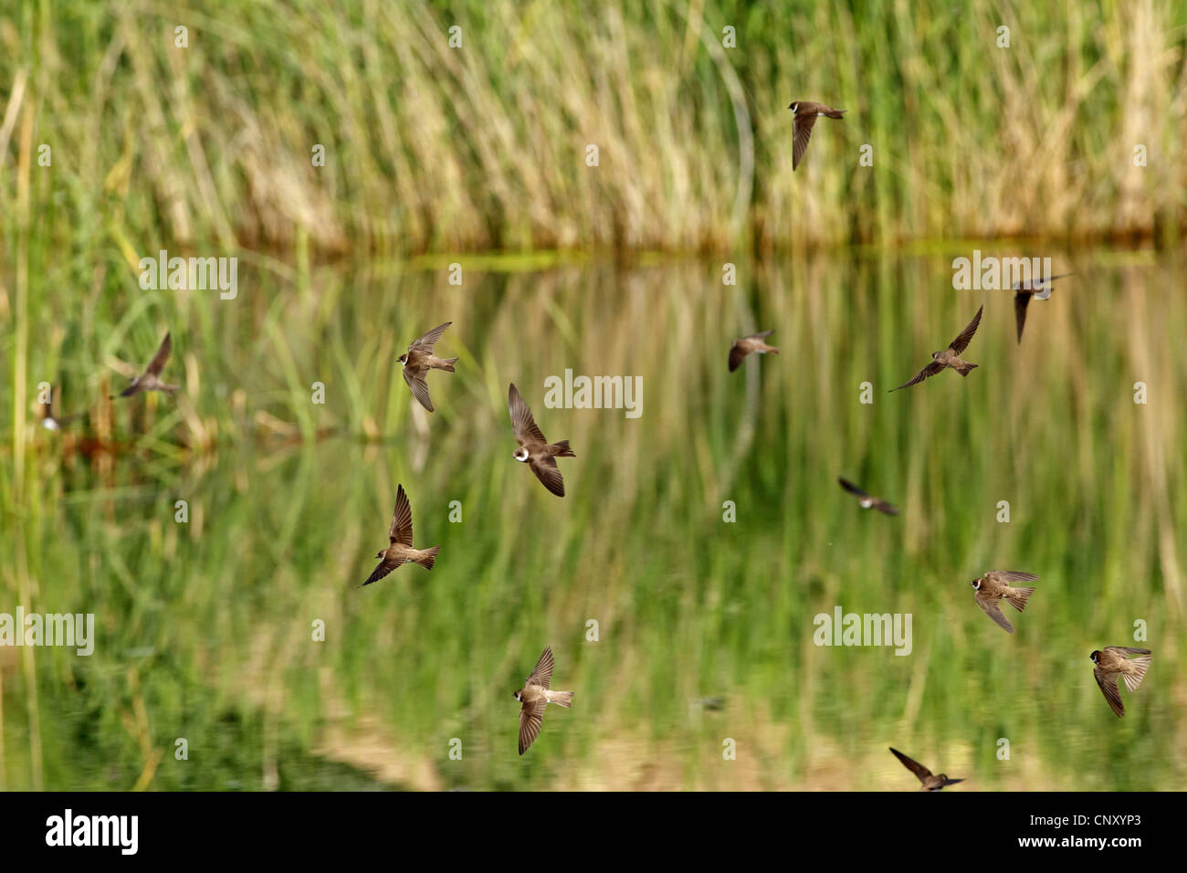 Flying water bed hi-res stock photography and images - Alamy