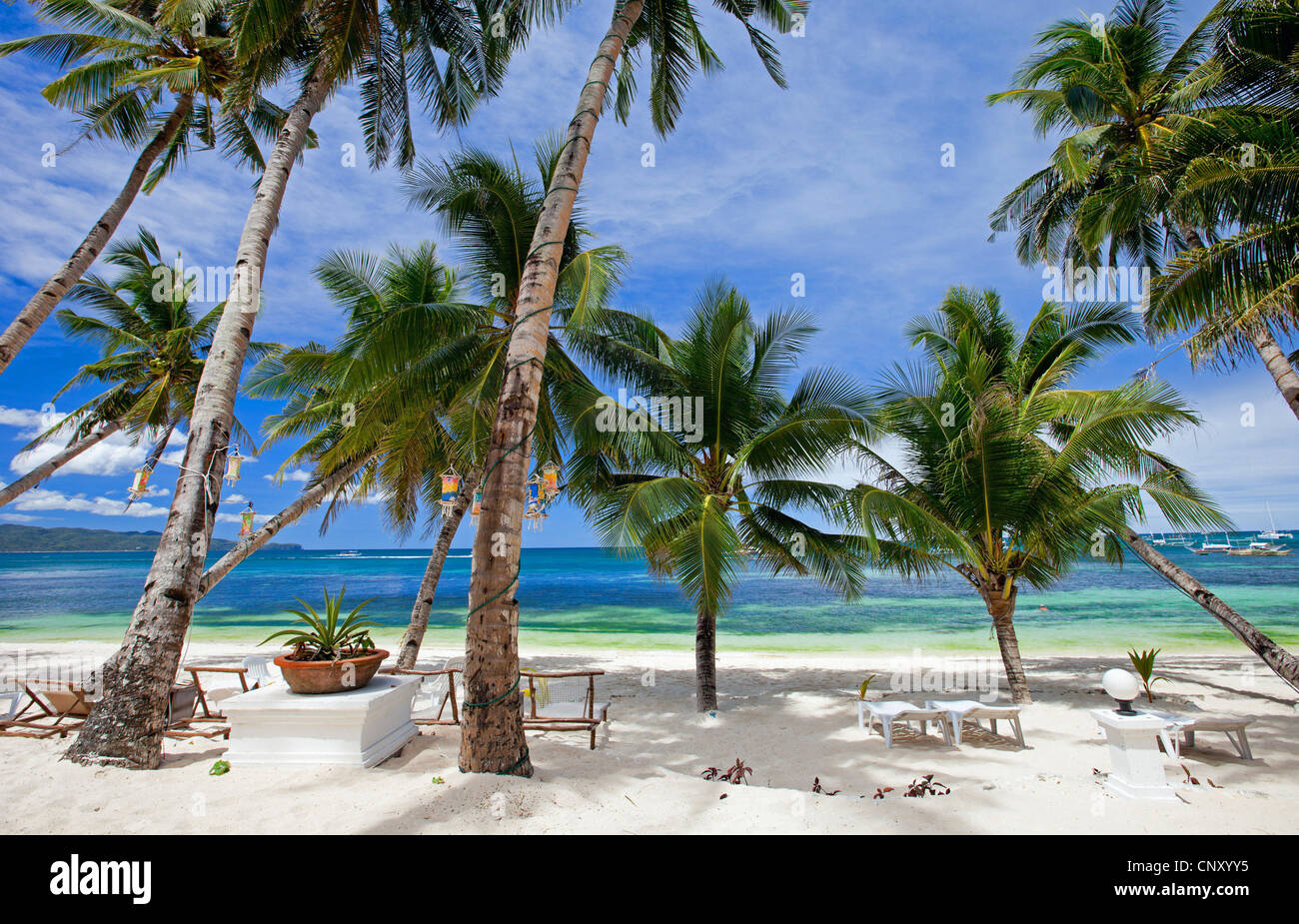 tropical beach with palm trees, Philippines, Boracay Stock Photo - Alamy