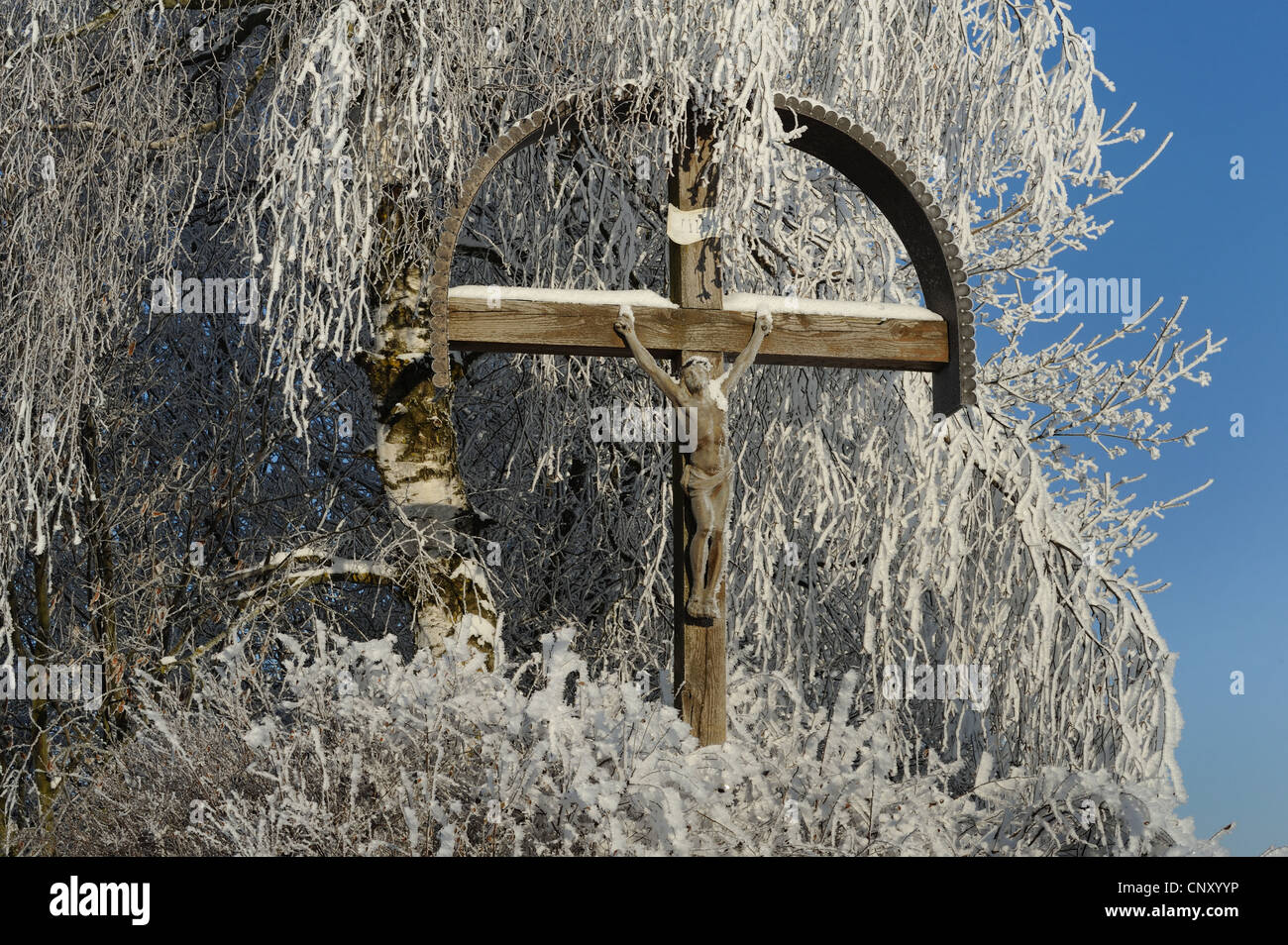 Crucifix in the branches of a birch hi-res stock photography and images ...