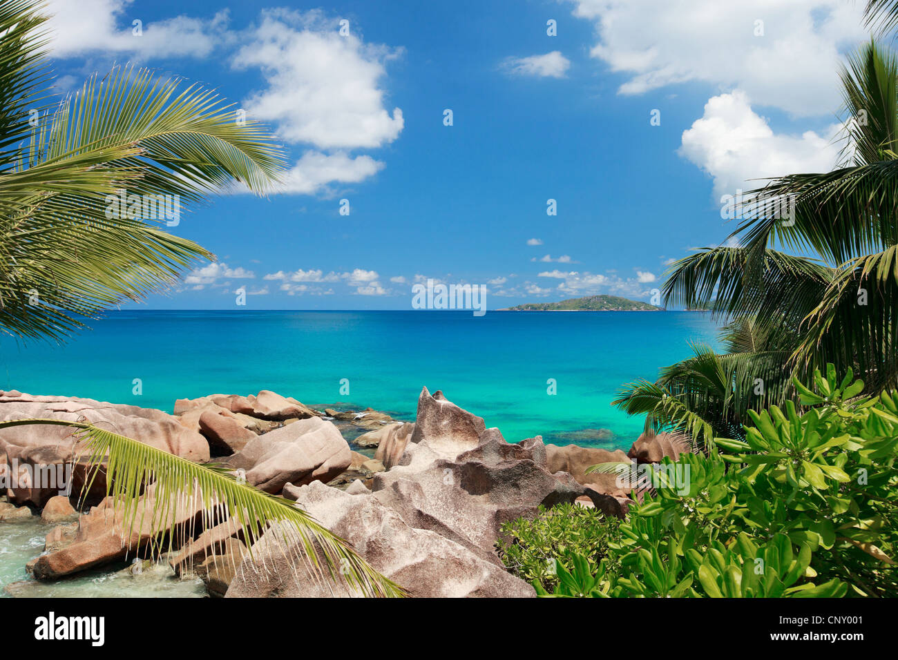 Tropical beach seaside palm trees rocks hi-res stock photography and ...
