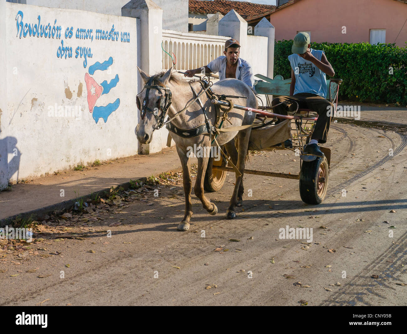 Two adult Hispanic Cuban males ride in a buggy pulled by one white ...