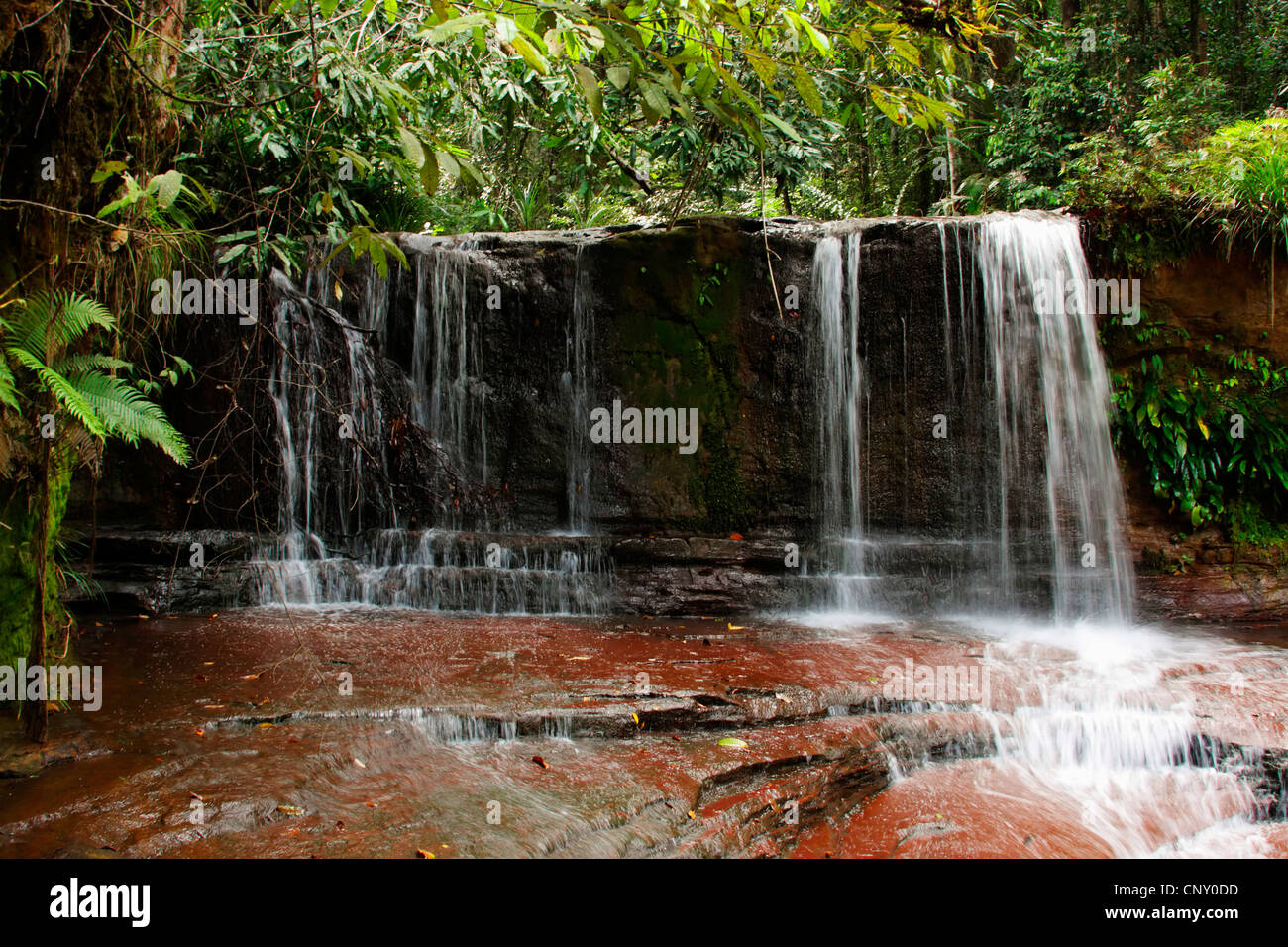 first waterfall of Lambir Hills National Park, Malaysia, Sarawak ...