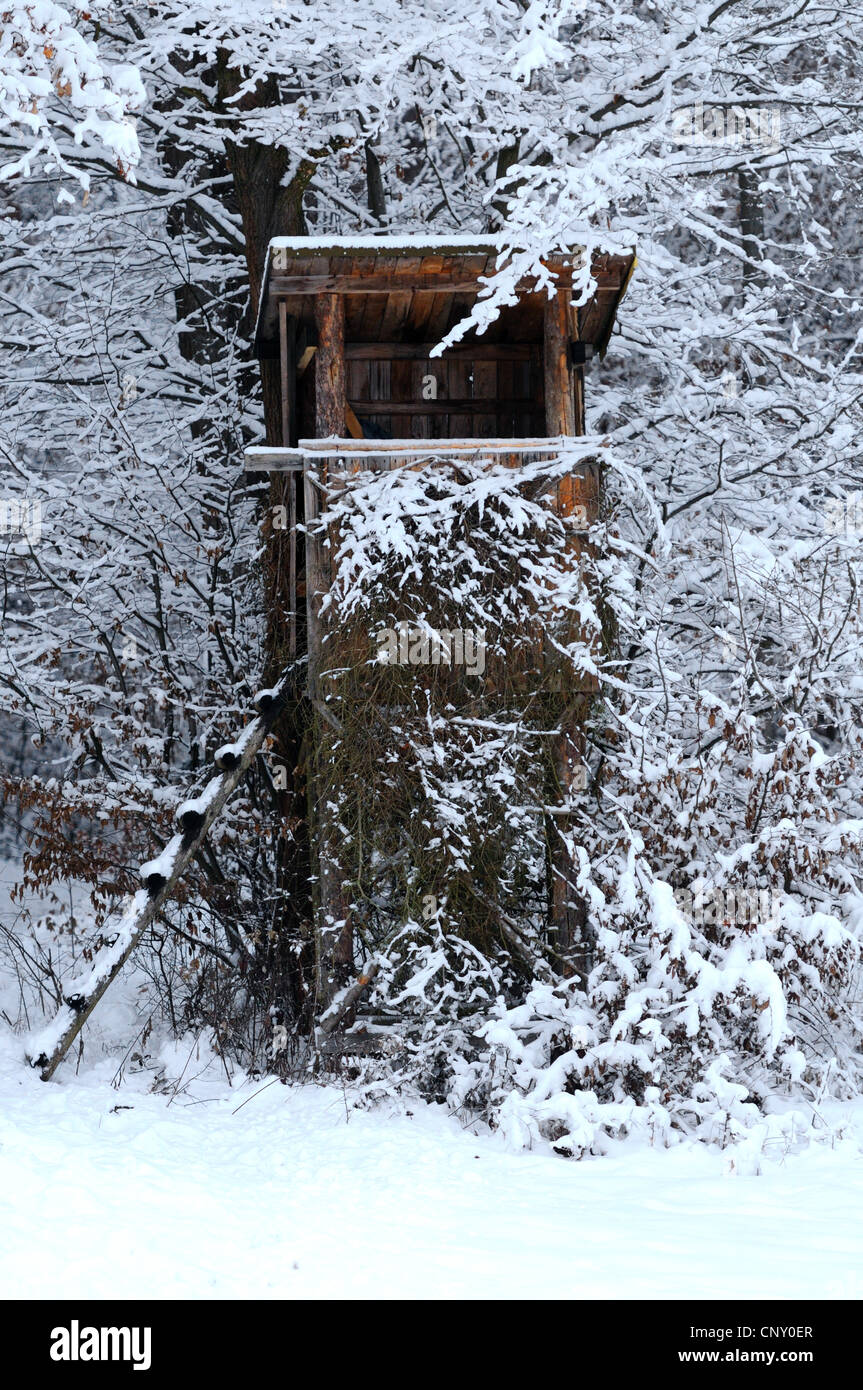 raised hide in winter, Austria, Styria Stock Photo - Alamy