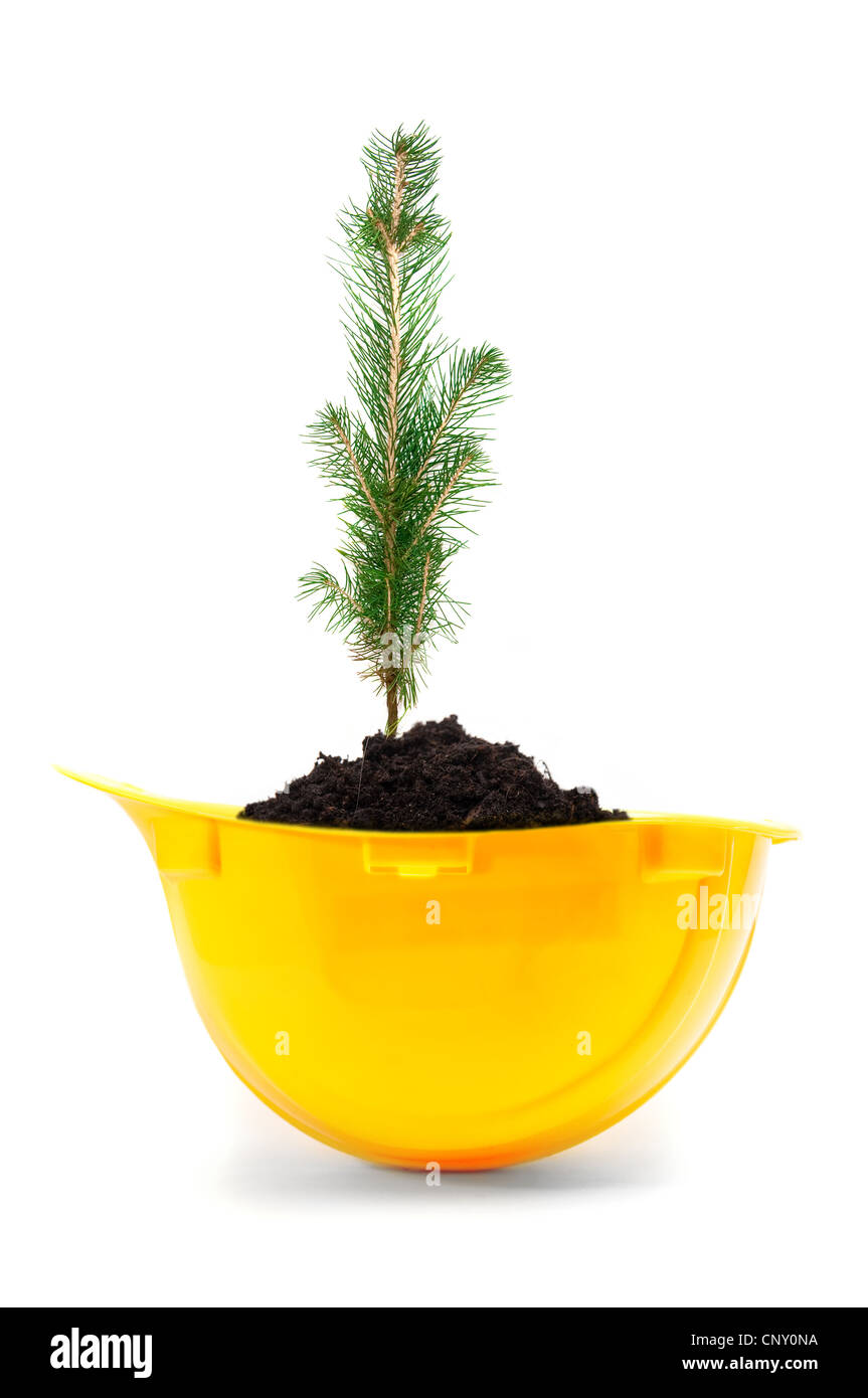 Worker in a hard hat Cut Out Stock Images & Pictures - Alamy