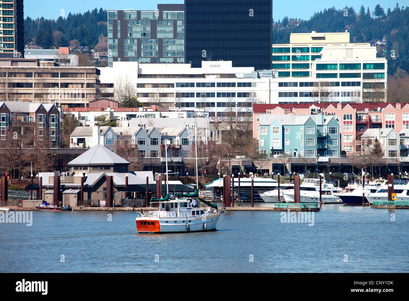 Moored sailboats in a marina Portland Oregon Stock Photo - Alamy