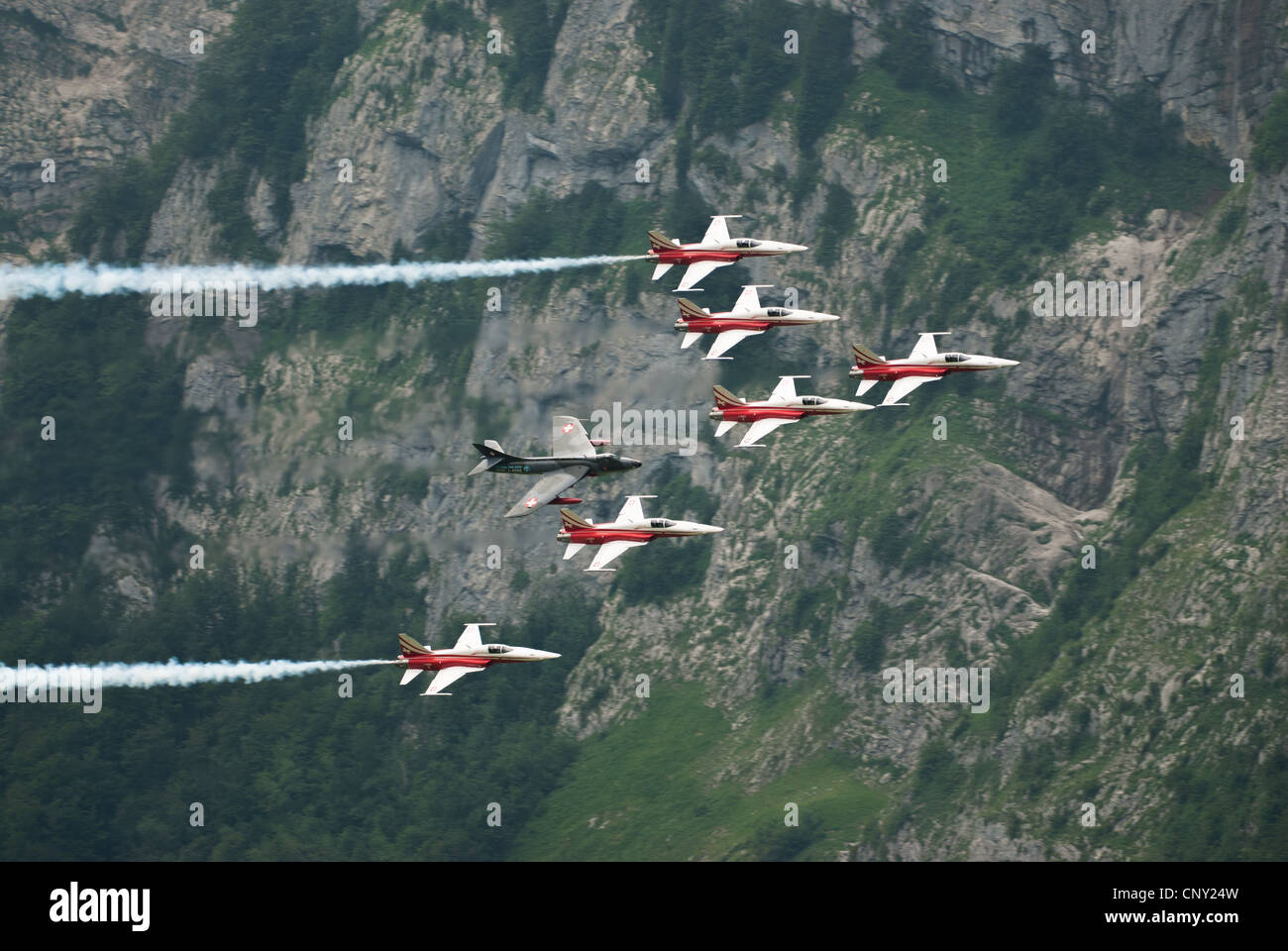 Swiss Air Force Tiger Squadron High Resolution Stock Photography and ...