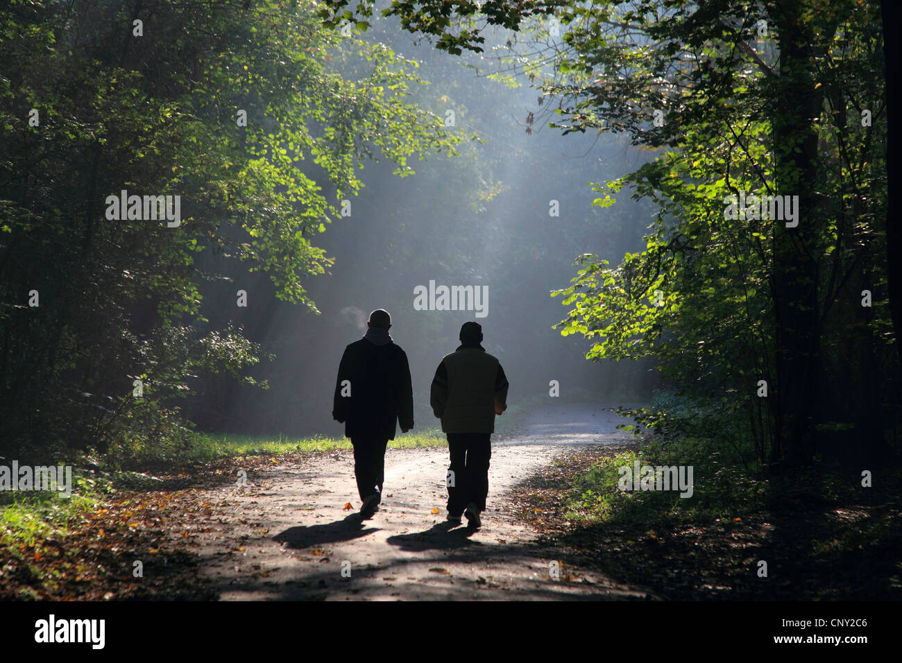 Man walks next autumn forest hi-res stock photography and images - Alamy