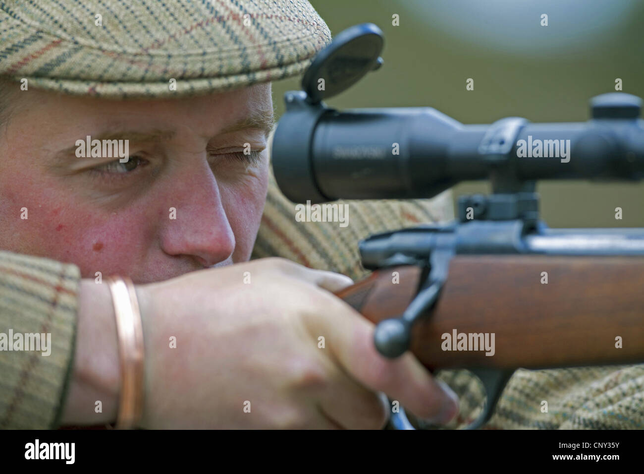deer stalker hunting reed deers aiming with his gun, United Kingdom ...