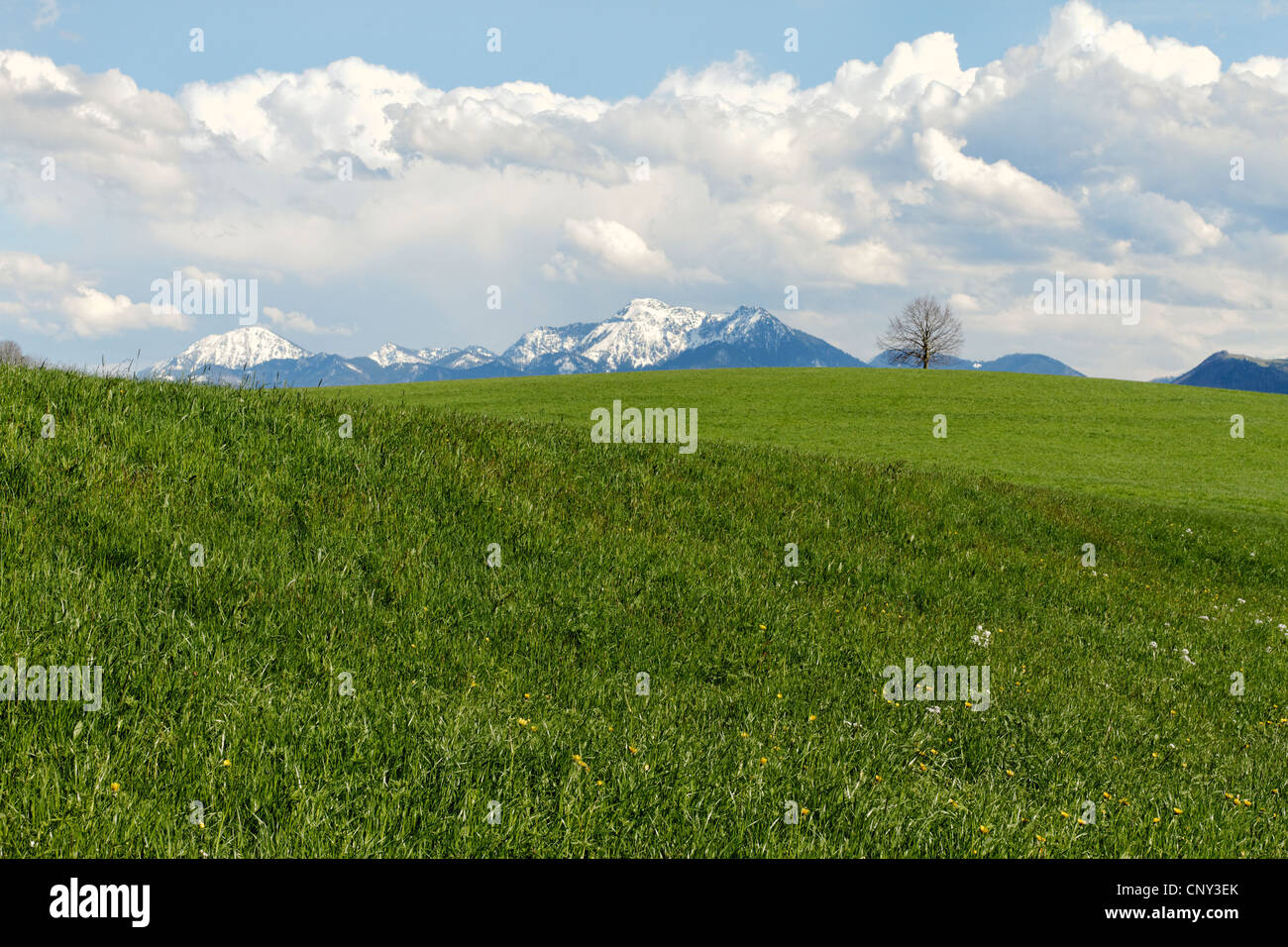 German landscapes hi-res stock photography and images - Alamy