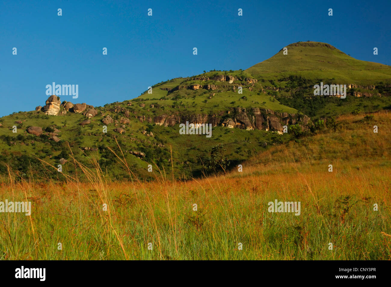 Monks cowl drakensberg hi-res stock photography and images - Alamy