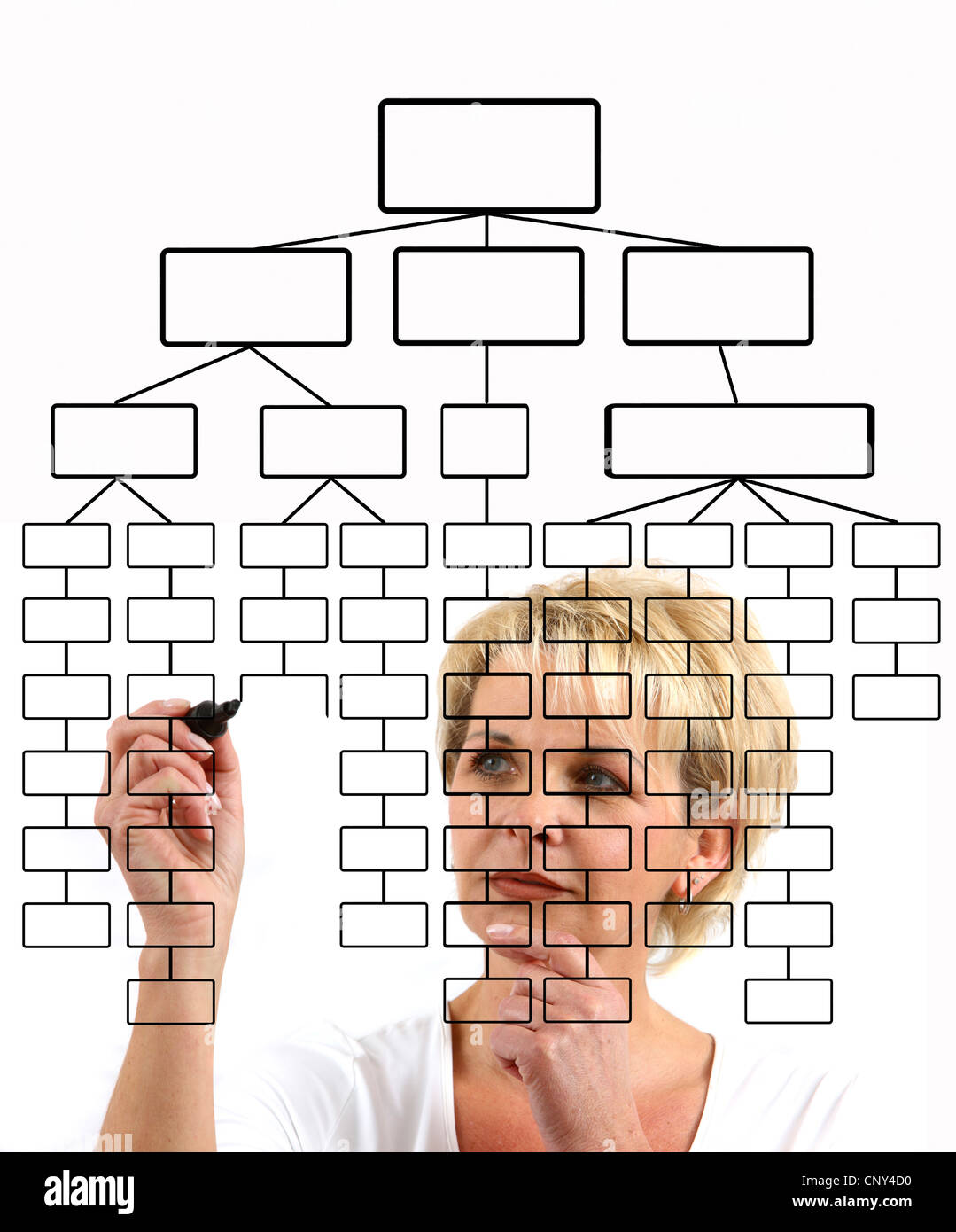 Woman is drawing a mind map. Organize scheme, organization structure ...