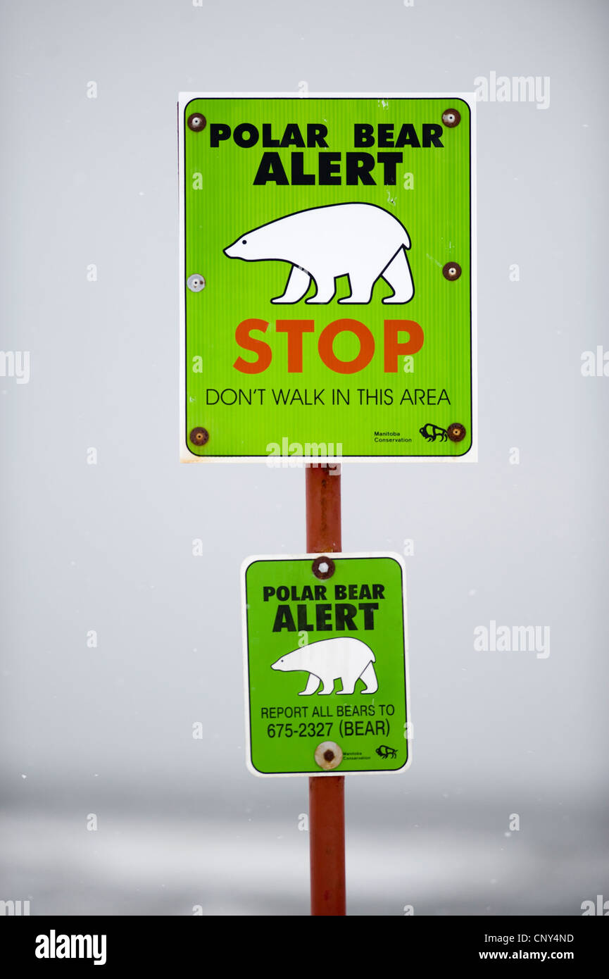 The bear sign hi-res stock photography and images - Alamy