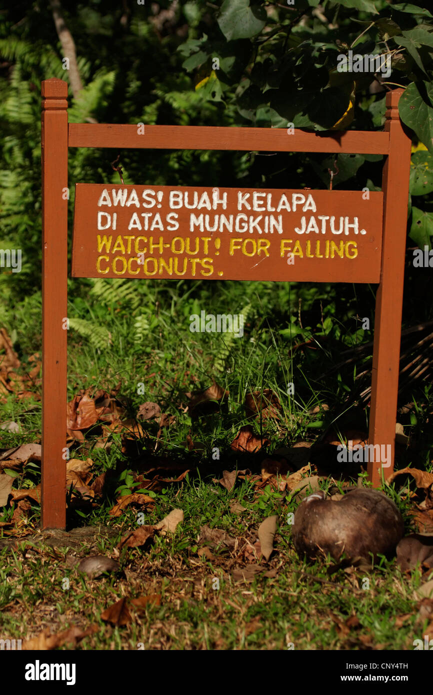sign in the National Park warning against falling coconuts, Malaysia ...
