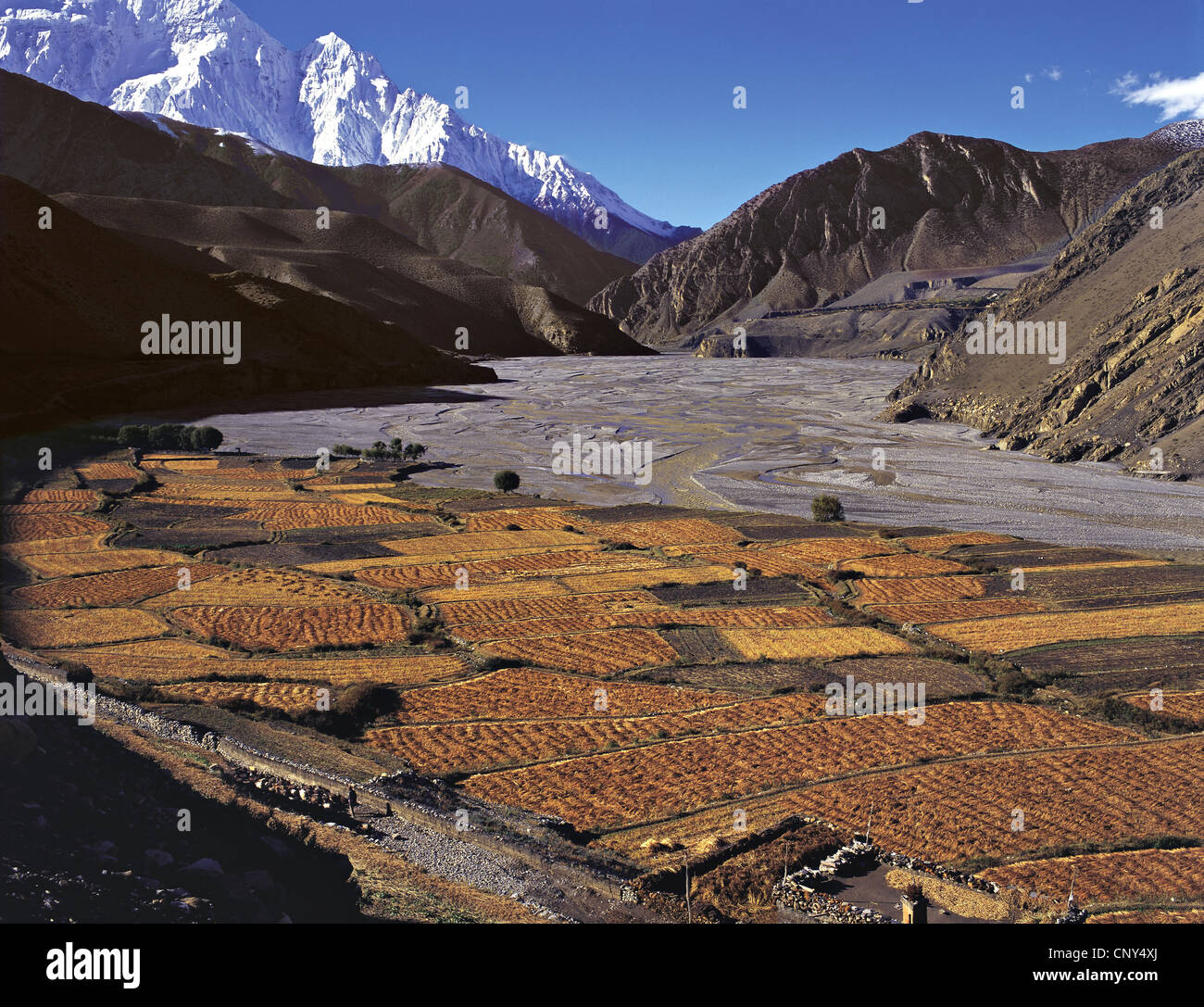 Kali gandaki valley hi-res stock photography and images - Alamy