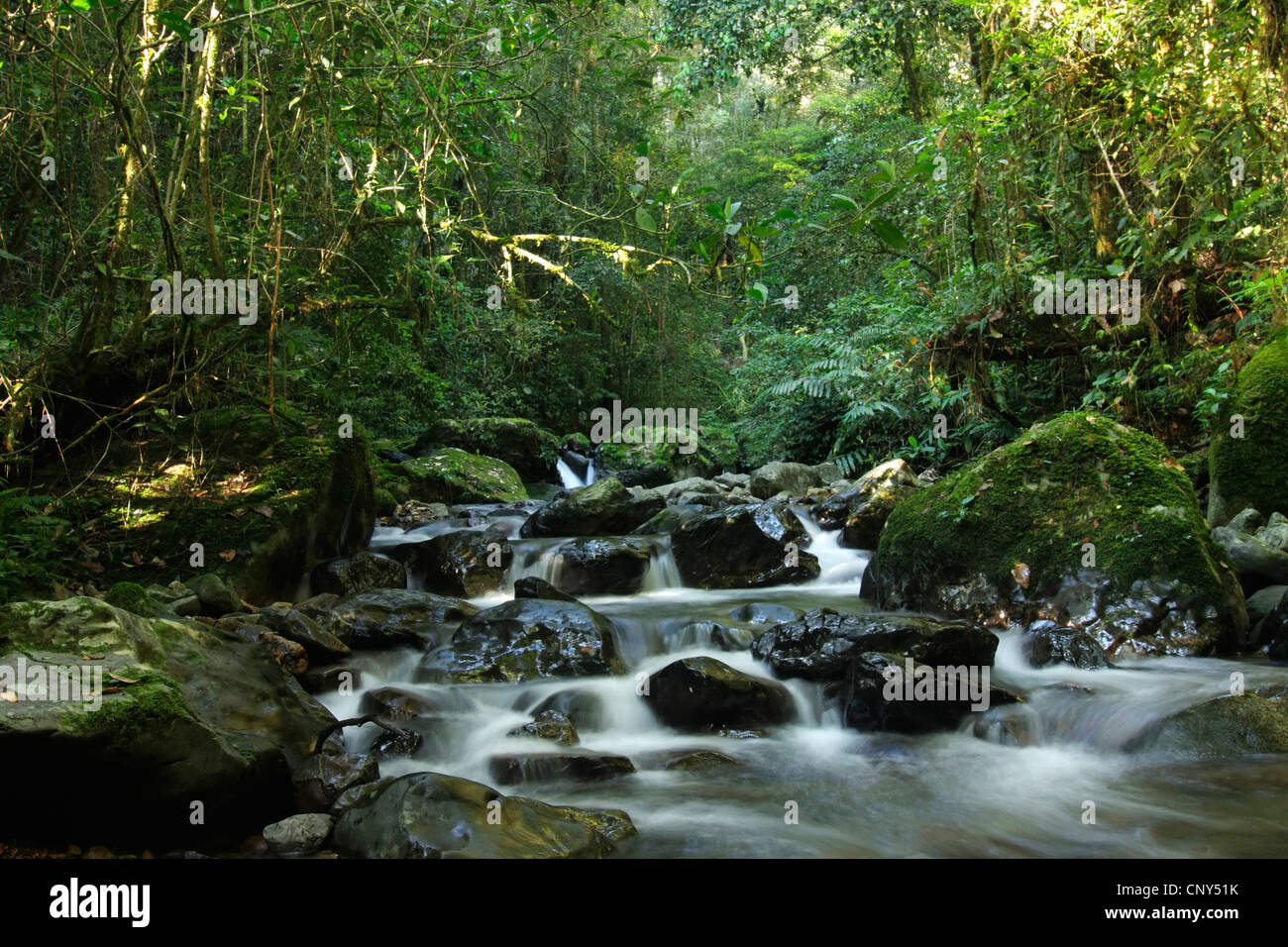 brook in the tropical rain forest at Mount Kinabalu, Malaysia, Sabah ...