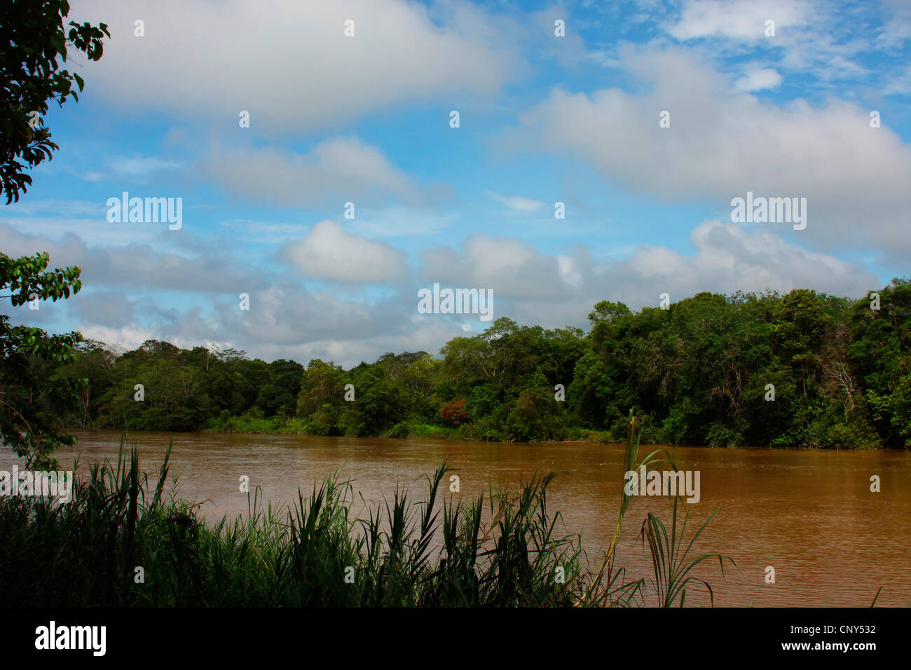river Kinabatangan seamed by tropical rain forest, Malaysia, Sabah ...