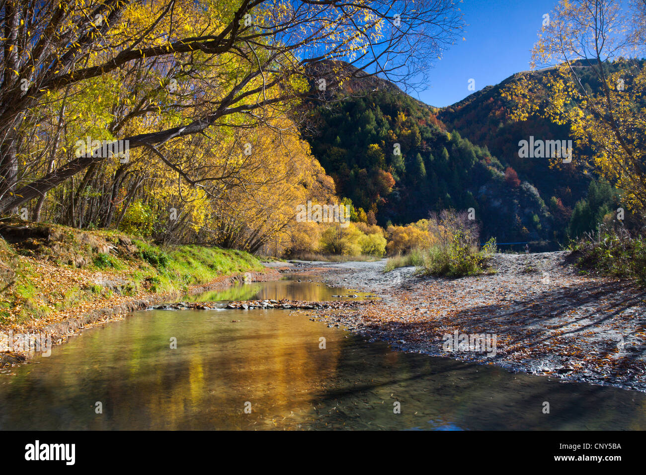Autumn foliage in Arrowtown, Otago, South Island, New Zealand. Autumn ...
