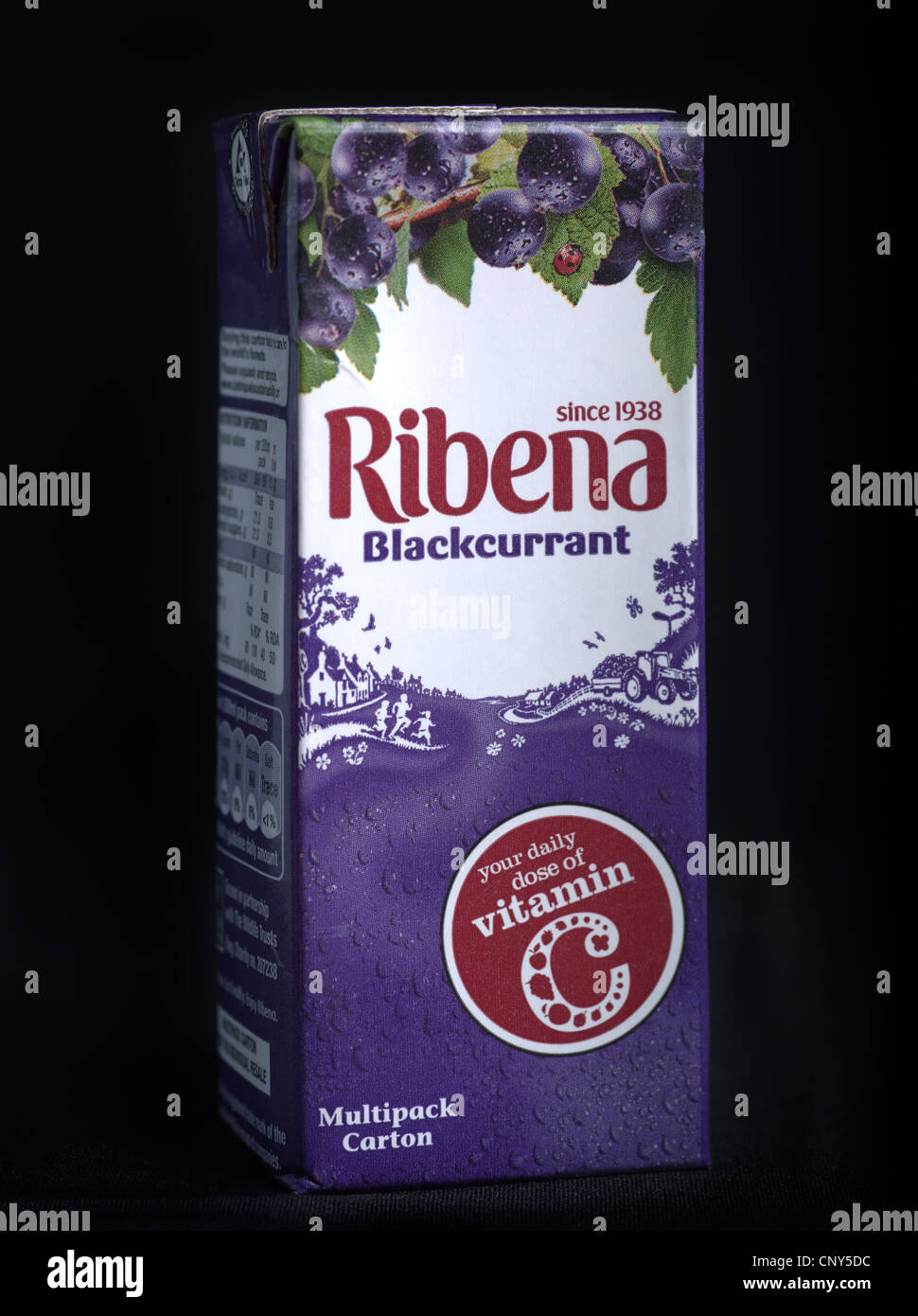 Small Carton of Blackcurrant Ribena Drink Stock Photo - Alamy
