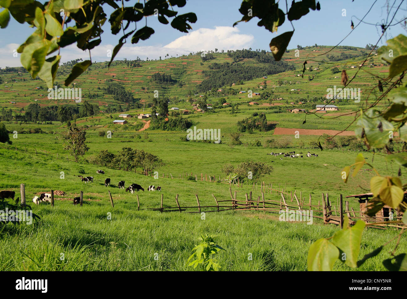 Kabale Uganda Africa High Resolution Stock Photography and Images - Alamy