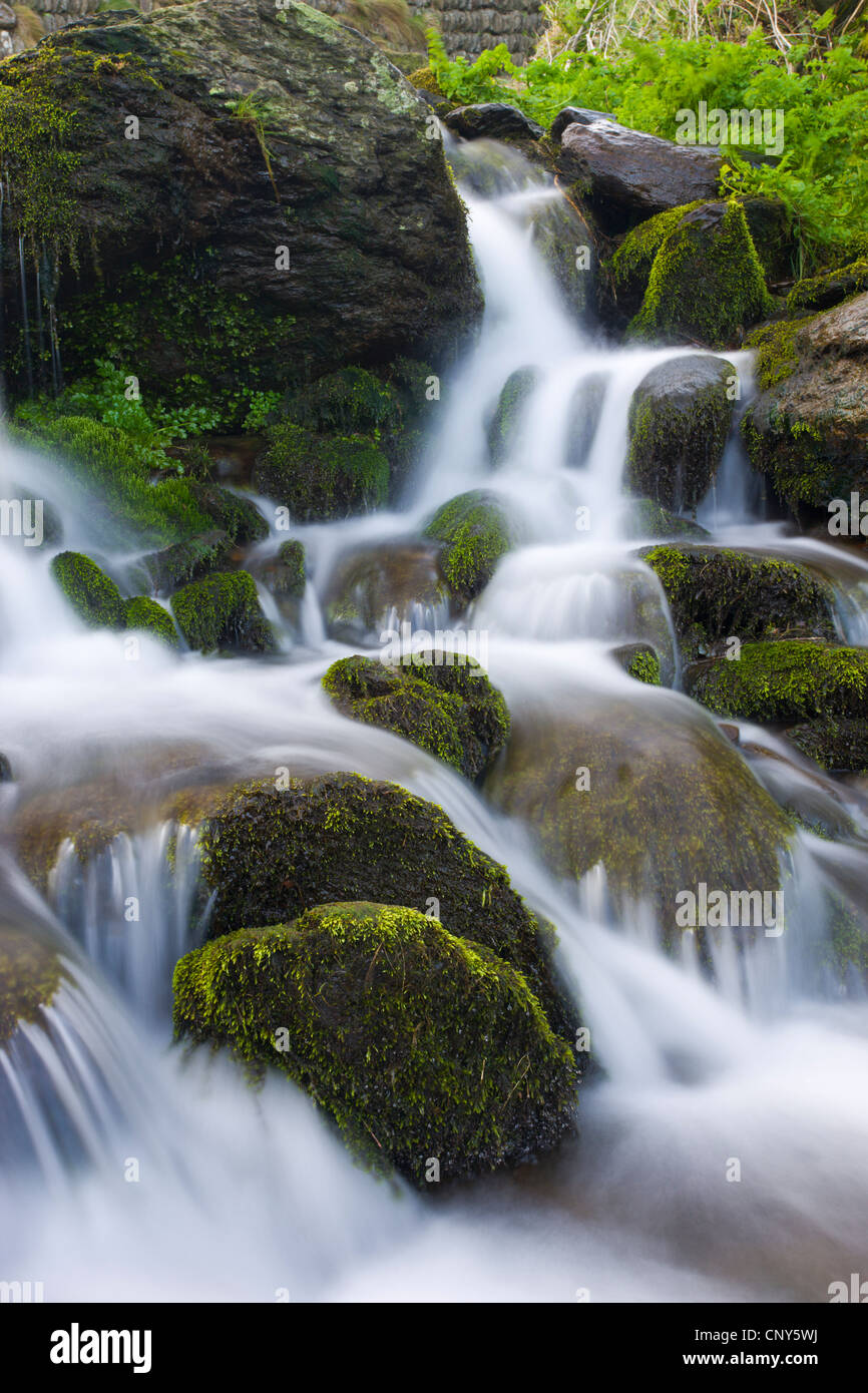 Cascading stream over moss covered boulders, Exmoor National Park ...