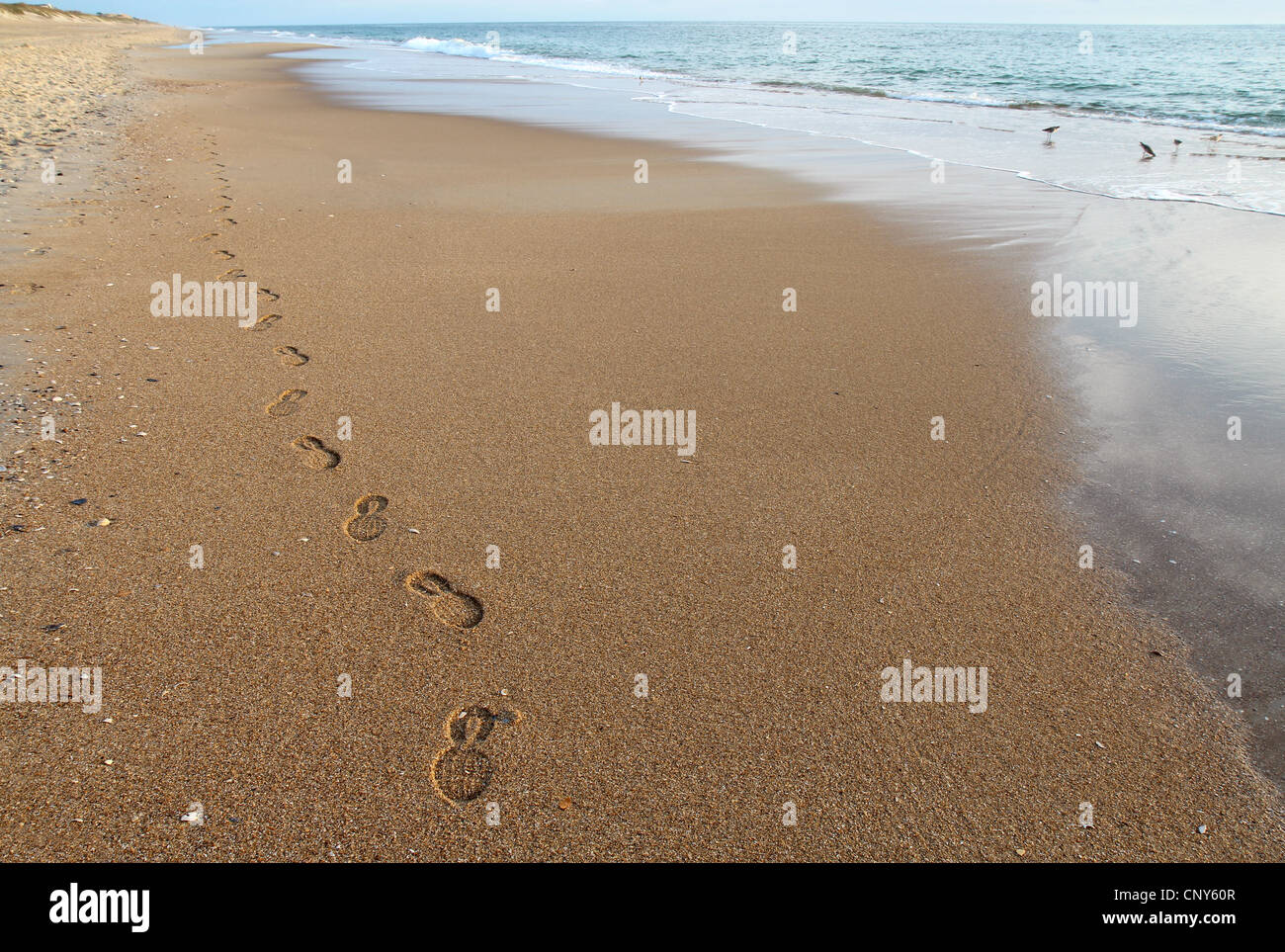 A single pair of footsteps along on empty beach in the early morning on ...