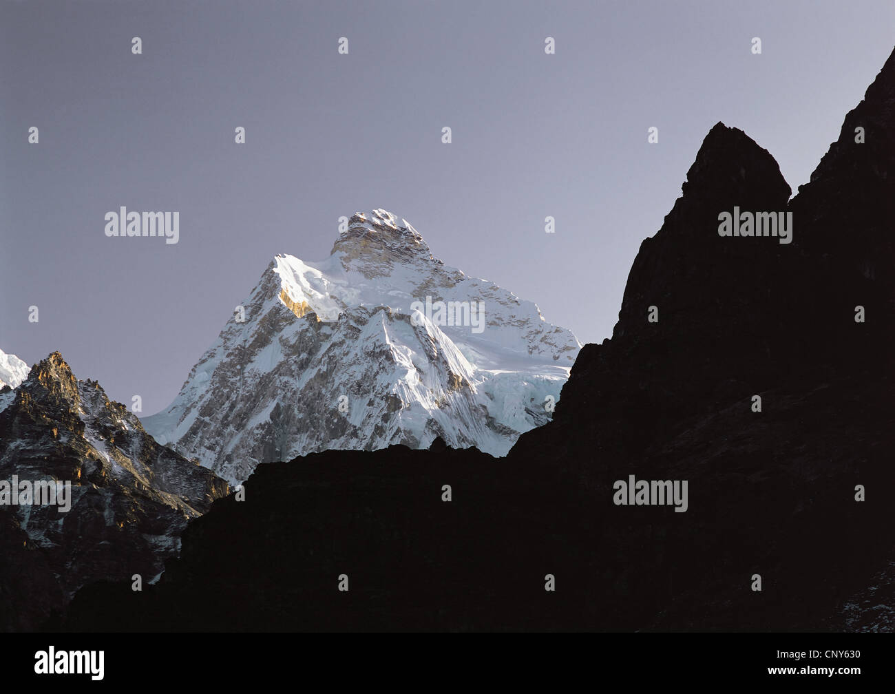 dramatic peak and south face of Jannu in the Kangchenjunga region ...