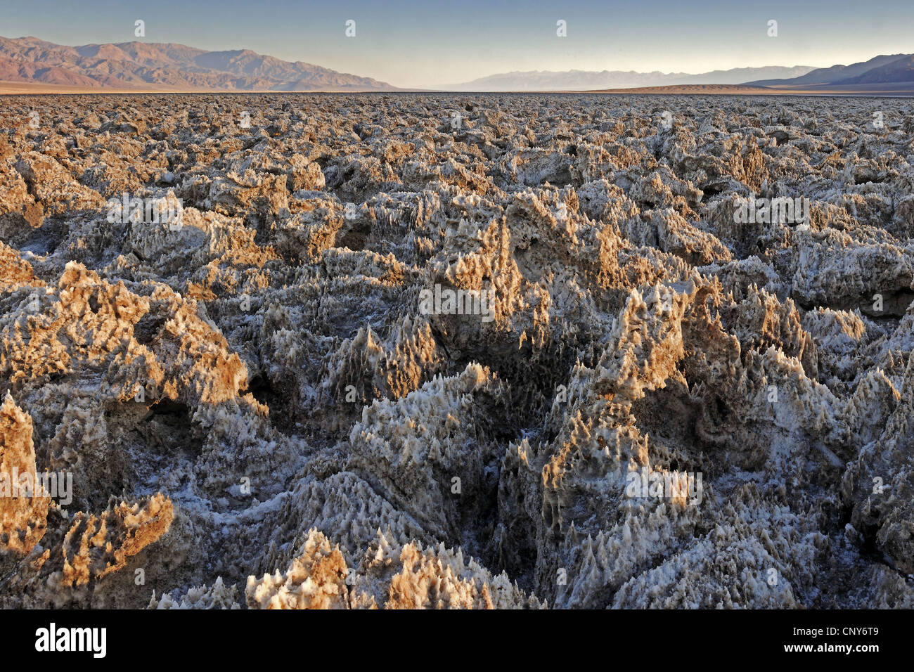 rough salt formations of Devils Golf Course in morning light, USA ...