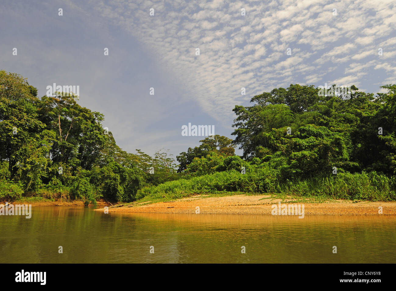 river bend in the rain forest, Honduras, La Mosquitia, Las Marias Stock ...