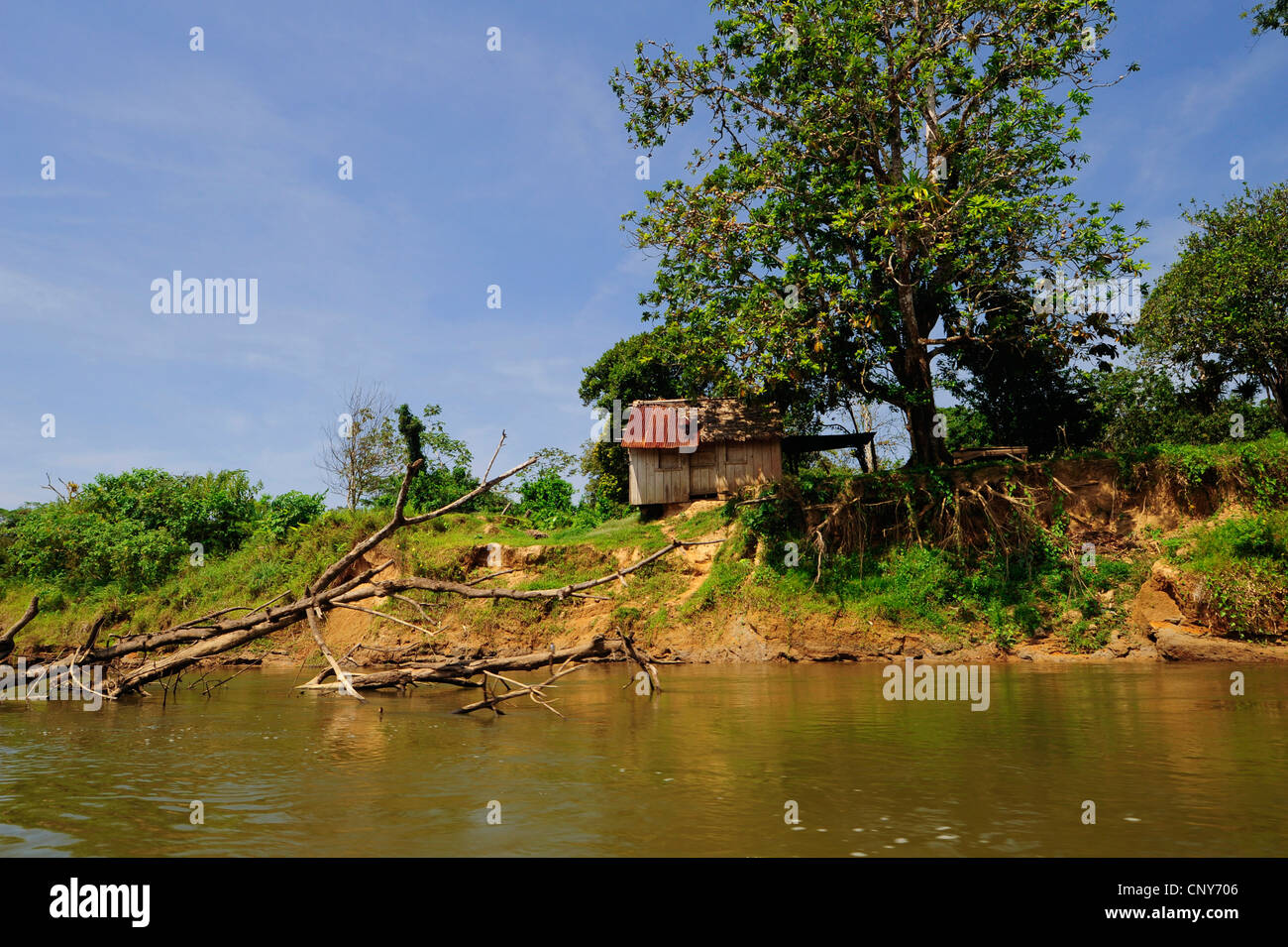 Indigenous people of the rain forest High Resolution Stock Photography ...