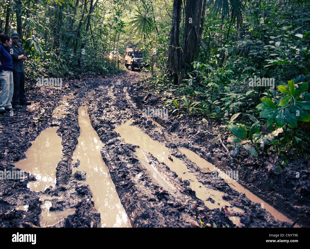 Monkey river trail belize hi-res stock photography and images - Alamy
