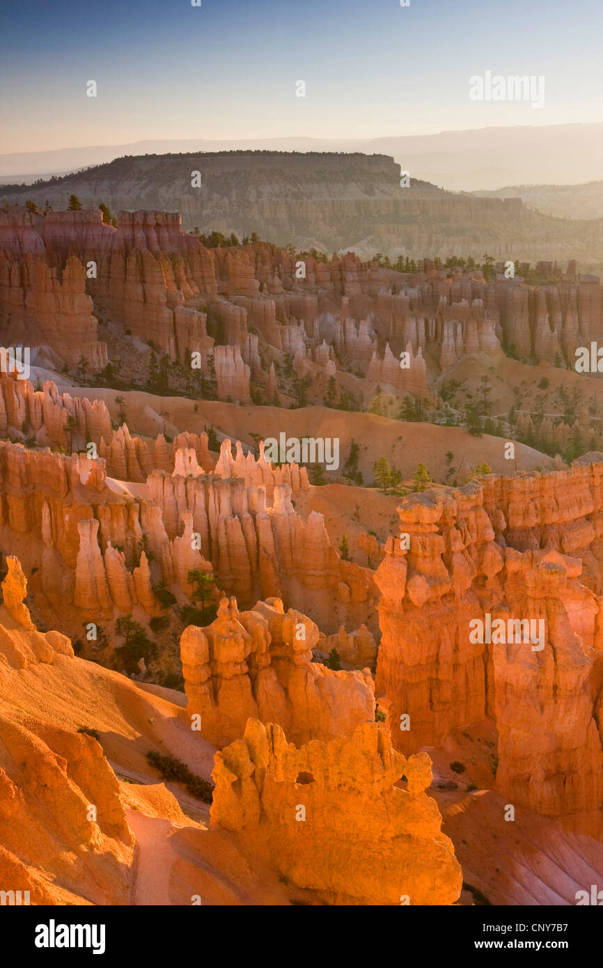 amphitheatre of the Bryce Canyon in backlight of the moring sun from ...