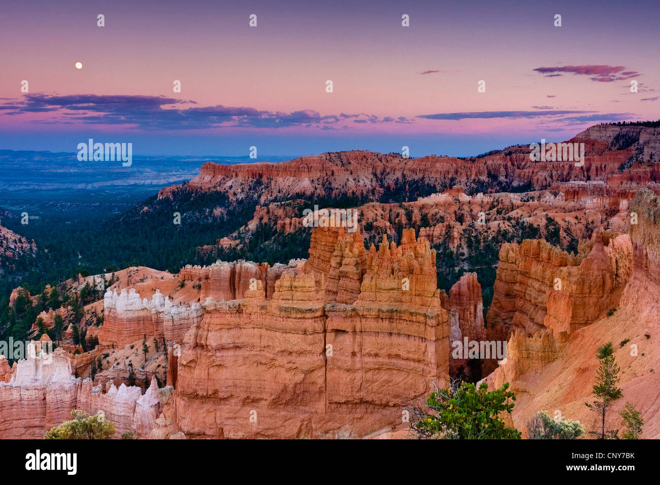 Bryce amphitheatre hi-res stock photography and images - Alamy