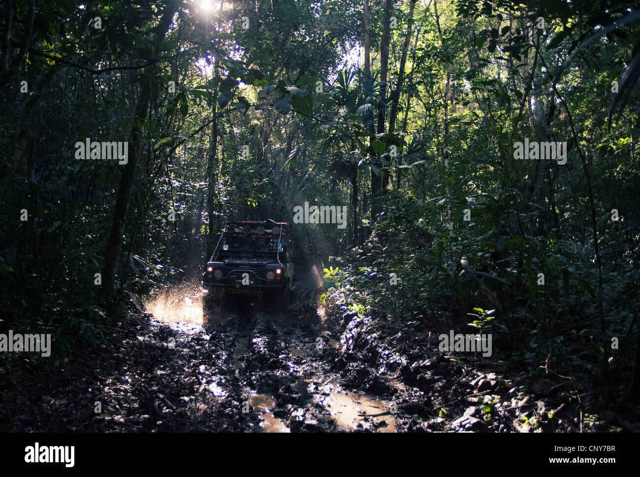 Monkey river trail, Belize Stock Photo - Alamy
