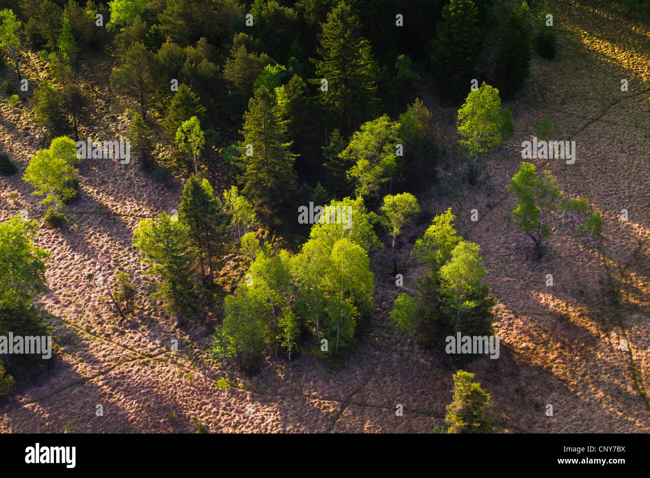 Murnauer Moos, Germany, Bavaria Stock Photo - Alamy